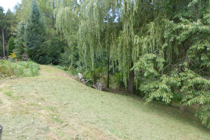 Marsbergs Ortsteile – Stadtmarketing Marsberg